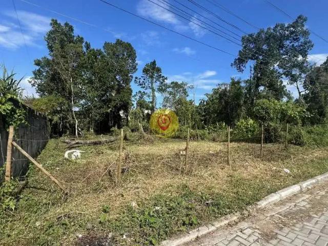 Terreno / Lote para Venda em São Sebastião/SP Boracéia