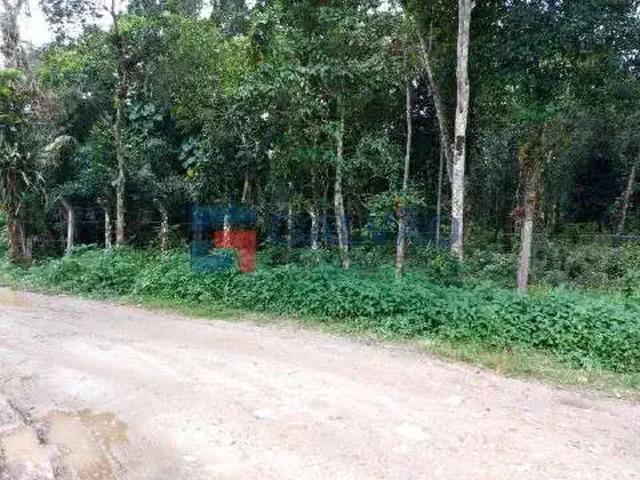 Terreno / Lote para Venda em São Sebastião/SP Boracéia