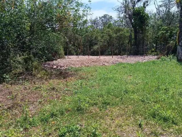 Terreno / Lote para Venda em São Sebastião/SP Boracéia