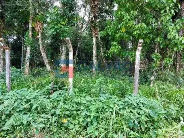 Terreno / Lote para Venda em São Sebastião/SP Boracéia