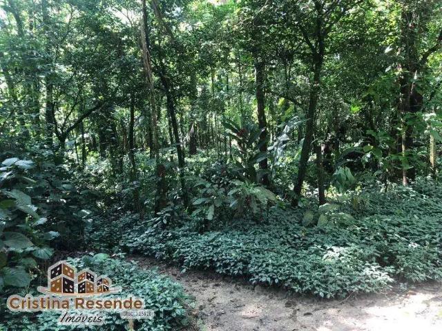 Terreno / Lote para Venda em São Sebastião/SP Barra do Una