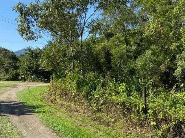 Terreno / Lote para Venda em São Sebastião/SP Barra do Una
