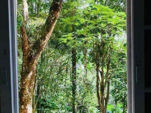 Terreno / Lote para Venda em São Sebastião/SP Barra do Una 2 Quartos