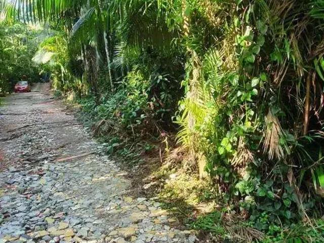 Terreno / Lote para Venda em São Sebastião/SP Barra do Una