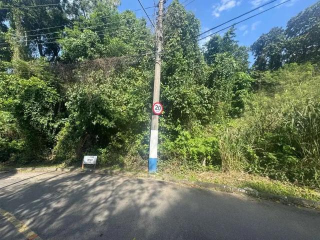 Terreno / Lote para Venda em São Sebastião/SP Guaecá