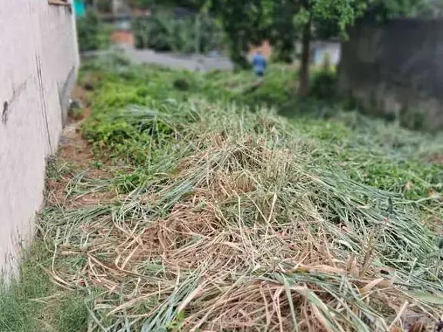 Terreno / Lote para Venda em São Sebastião/SP Morro do Abrigo