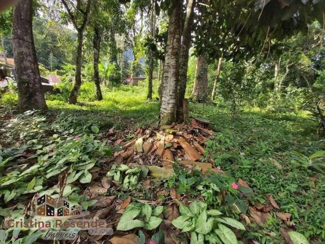 Terreno / Lote para Venda em São Sebastião/SP Maresias