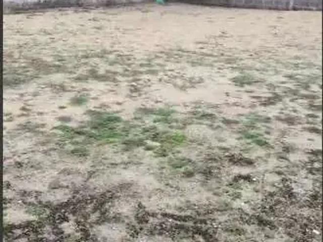 Terreno / Lote para Venda em São Sebastião/SP Maresias