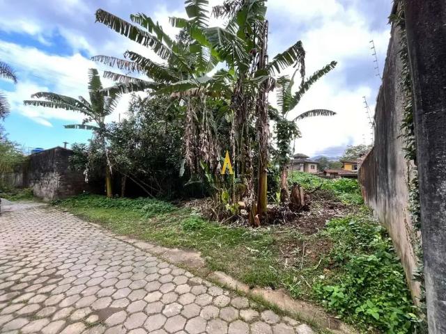 Terreno / Lote para Venda em São Sebastião/SP Maresias