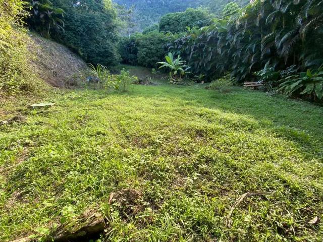 Terreno / Lote para Venda em São Sebastião/SP São Francisco da Praia