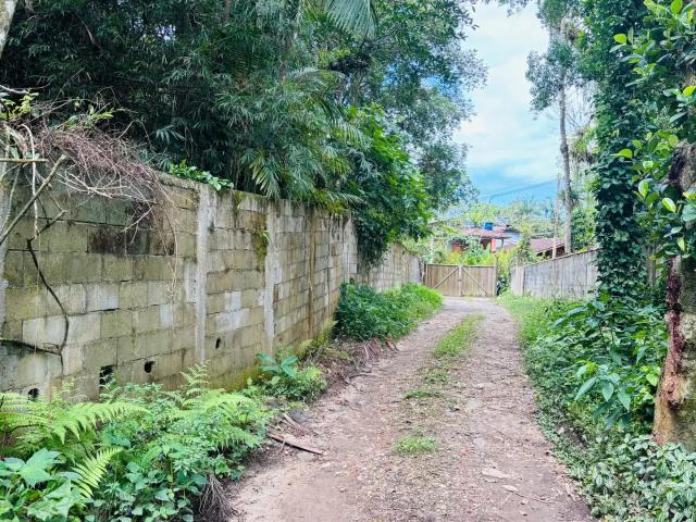 Terreno / Lote para Venda em São Sebastião/SP Sertão do Camburi
