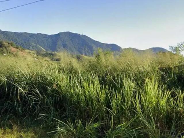Terreno / Lote para Venda em São Sebastião/SP Pontal da Cruz