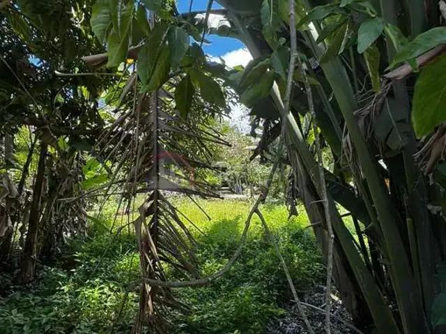 Terreno / Lote para Venda em São Sebastião/SP Praia de Camburí