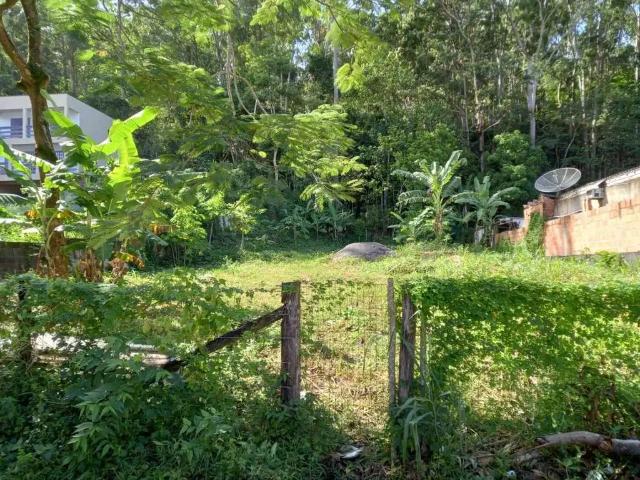 Terreno / Lote para Venda em São Sebastião/SP Praia de Barequeçaba