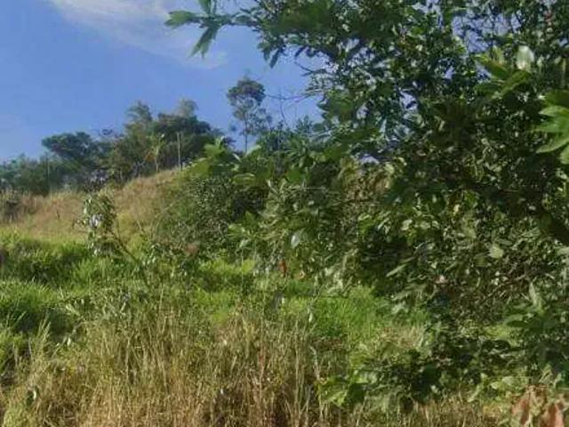 Terreno / Lote para Venda em São Sebastião/SP Topolândia