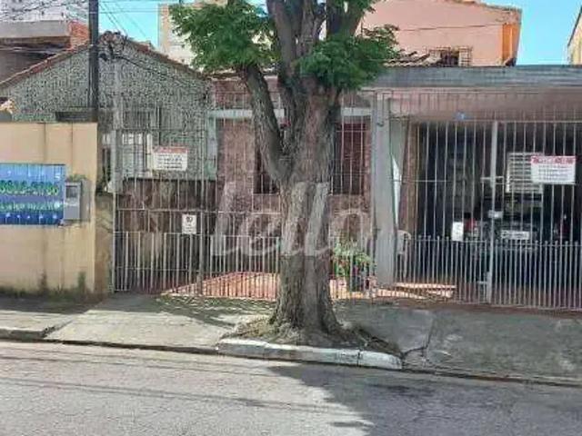 Terreno / Lote para Venda em São Paulo/SP Tatuapé