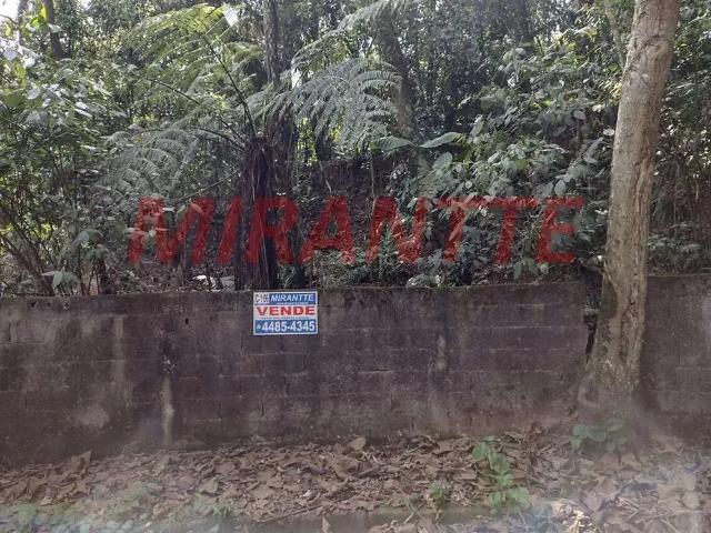 Terreno / Lote para Venda em São Paulo/SP Tremembé
