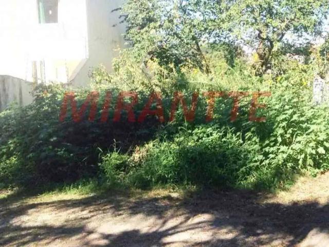Terreno / Lote para Venda em São Paulo/SP Tremembé