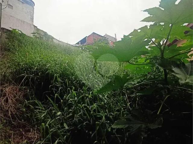 Terreno / Lote para Venda em São Paulo/SP Tremembé