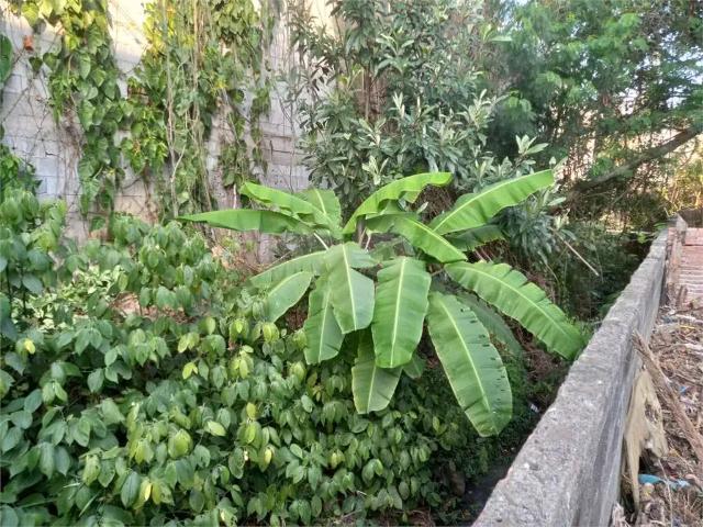Terreno / Lote para Venda em São Paulo/SP Tremembé