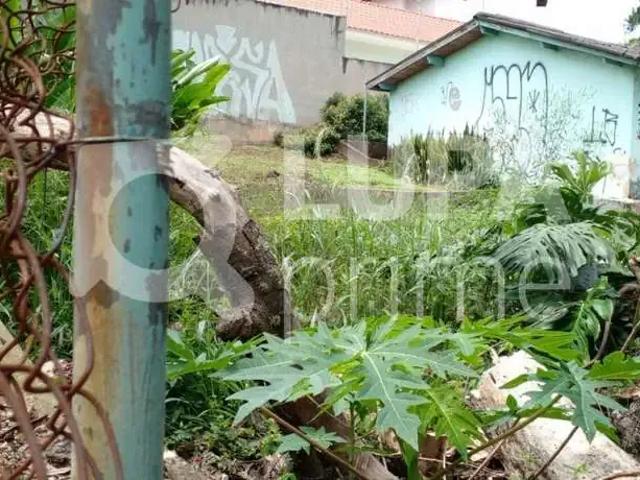 Terreno / Lote para Venda em São Paulo/SP Tremembé