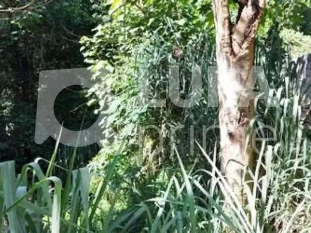 Terreno / Lote para Venda em São Paulo/SP Tucuruvi