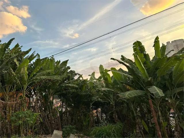 Terreno / Lote para Venda em São Paulo/SP Tucuruvi