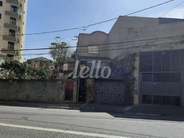 Terreno / Lote para Venda em São Paulo/SP Tucuruvi