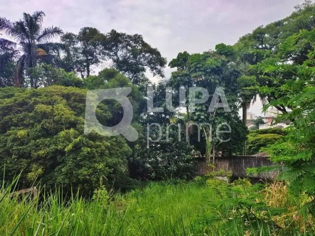 Terreno / Lote para Venda em São Paulo/SP Tucuruvi