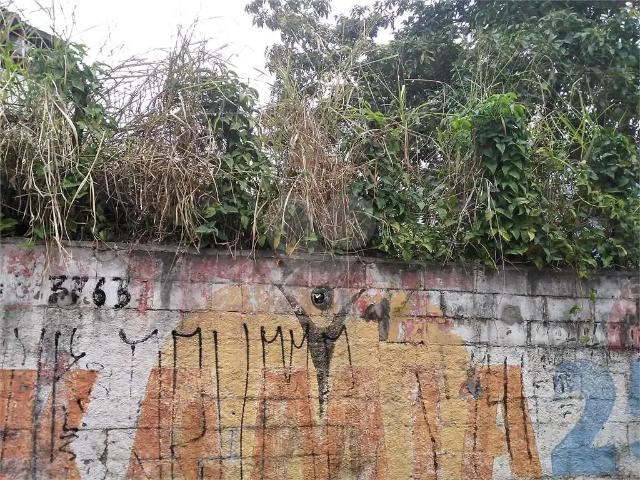 Terreno / Lote para Venda em São Paulo/SP Tucuruvi