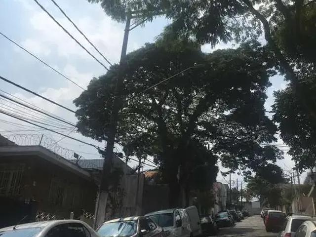 Terreno / Lote para Venda em São Paulo/SP Tucuruvi