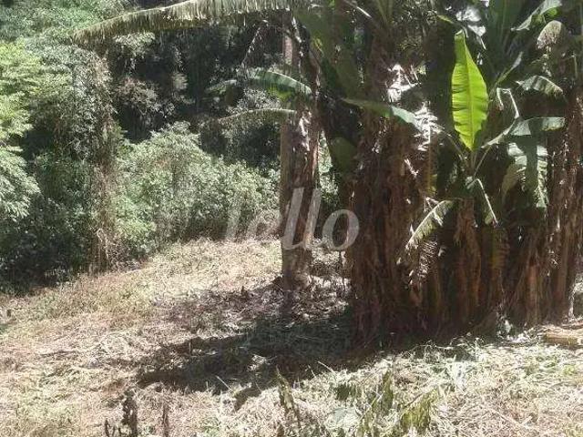 Terreno / Lote para Venda em São Paulo/SP Tucuruvi