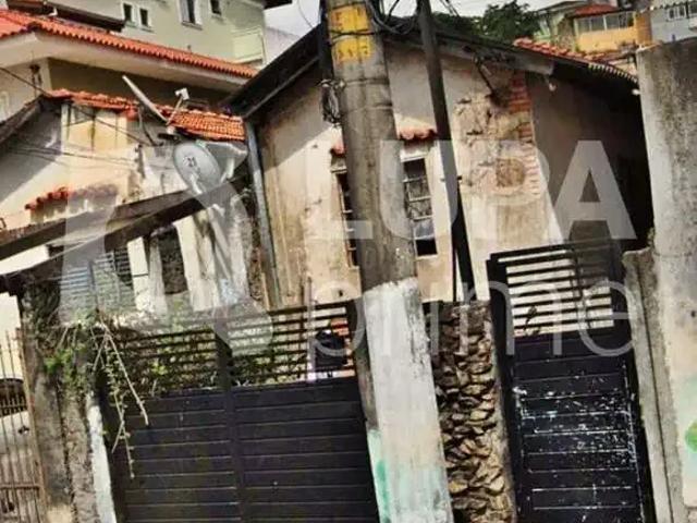 Terreno / Lote para Venda em São Paulo/SP Tucuruvi