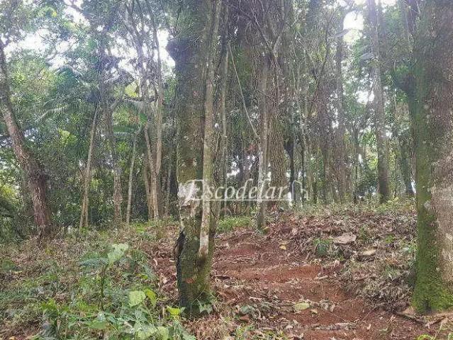 Terreno / Lote para Venda em São Paulo/SP Tucuruvi