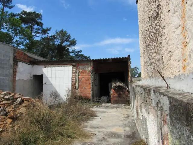 Terreno / Lote para Venda em São Paulo/SP Tucuruvi