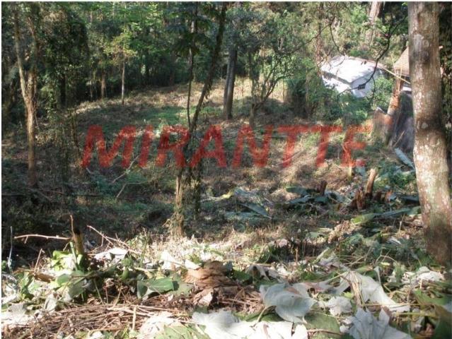 Terreno / Lote para Venda em São Paulo/SP Tucuruvi