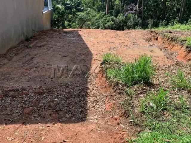 Terreno / Lote para Venda em São Paulo/SP Tucuruvi