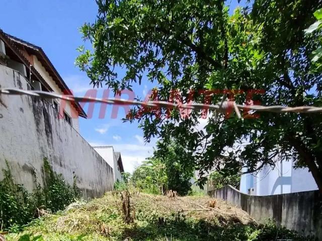 Terreno / Lote para Venda em São Paulo/SP Tucuruvi