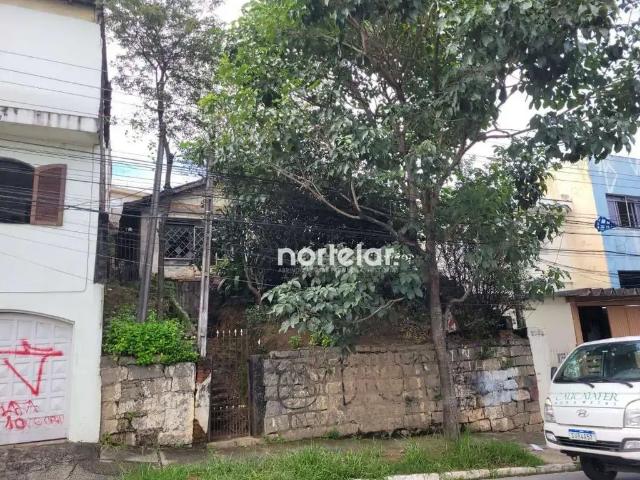 Terreno / Lote para Venda em São Paulo/SP Vila Mangalot