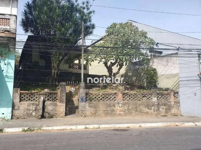 Terreno / Lote para Venda em São Paulo/SP Vila Mangalot