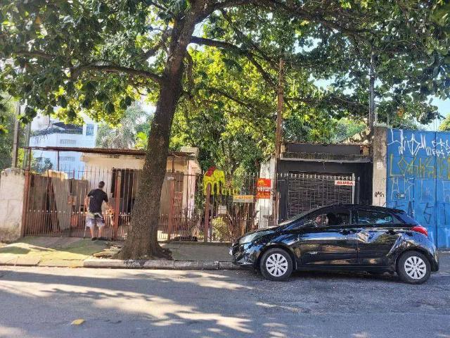 Terreno / Lote para Venda em São Paulo/SP Vila Mangalot
