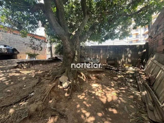 Terreno / Lote para Venda em São Paulo/SP Vila Mangalot