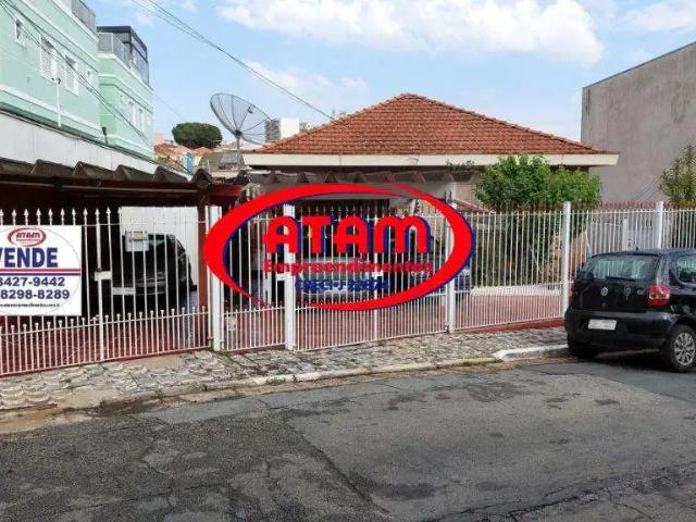 Terreno / Lote para Venda em São Paulo/SP Vila Mariza Mazzei