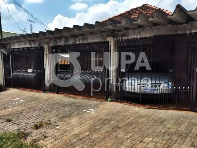 Terreno / Lote para Venda em São Paulo/SP Vila Maria Alta