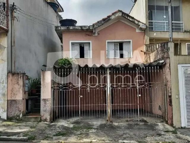 Terreno / Lote para Venda em São Paulo/SP Vila Maria Alta