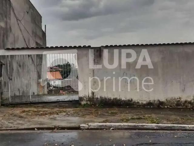 Terreno / Lote para Venda em São Paulo/SP Vila Maria Alta