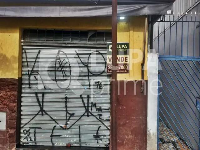 Terreno / Lote para Venda em São Paulo/SP Vila Maria Baixa