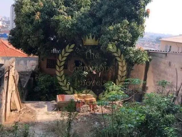 Terreno / Lote para Venda em São Paulo/SP Vila Maria