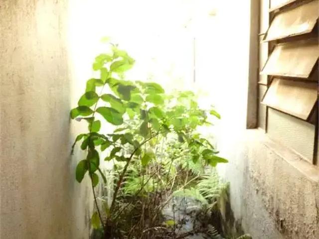 Terreno / Lote para Venda em São Paulo/SP Vila Maria