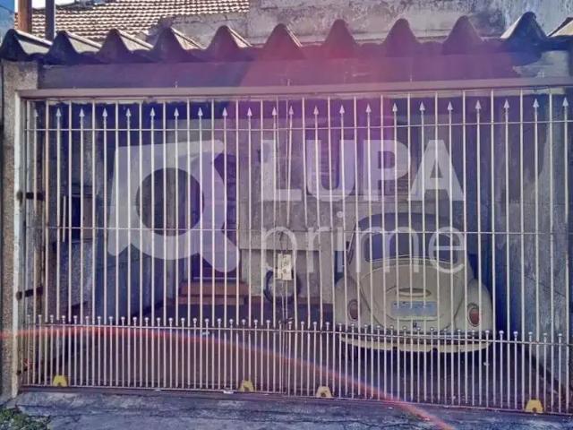 Terreno / Lote para Venda em São Paulo/SP Vila Maria